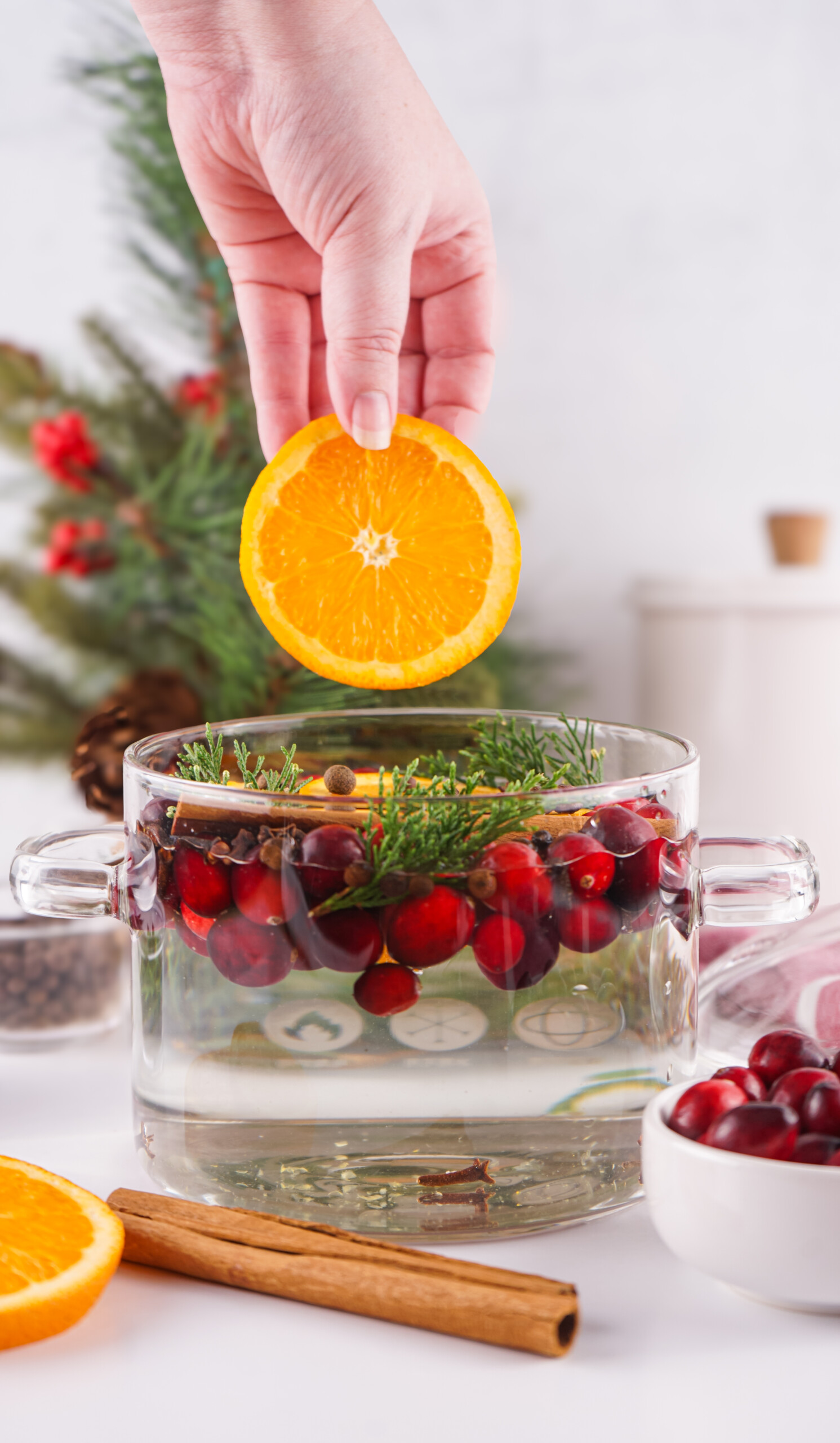 DIY Holiday Stovetop Potpourri (Simmer Pot Recipe)
