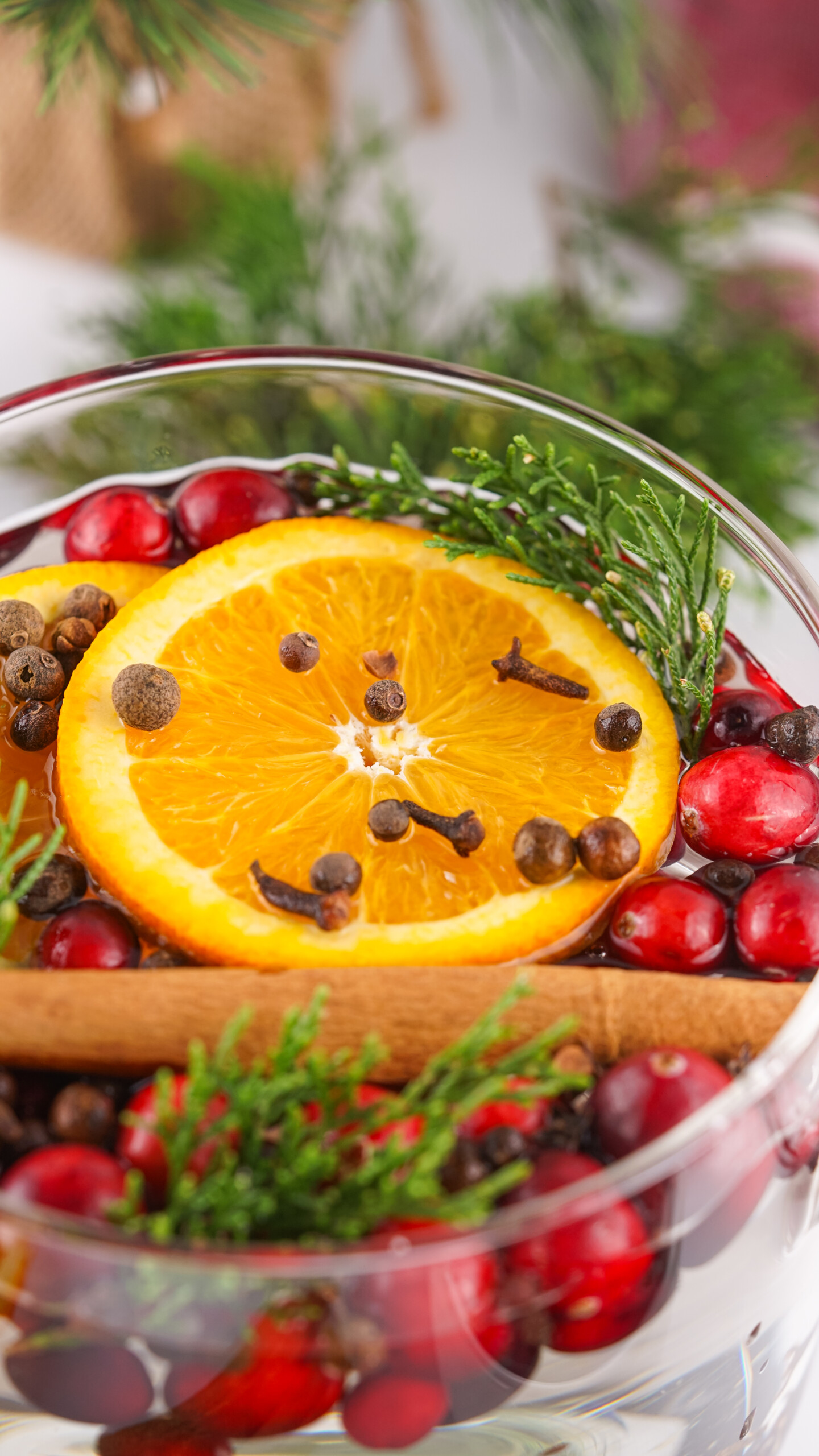 DIY Holiday Stovetop Potpourri (Simmer Pot Recipe)
