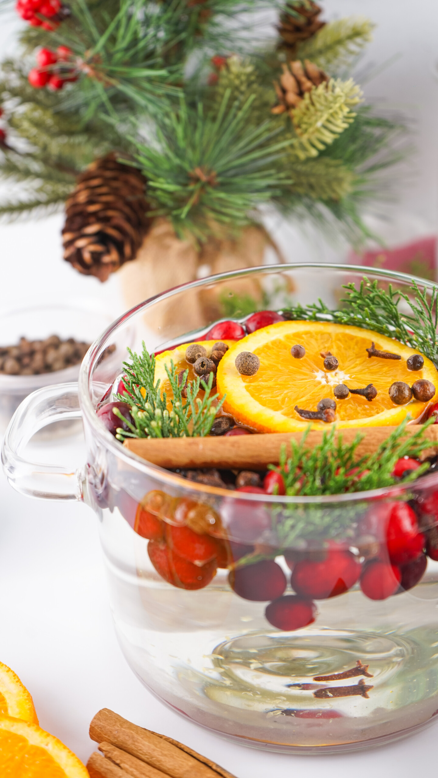 DIY Holiday Stovetop Potpourri (Simmer Pot Recipe)