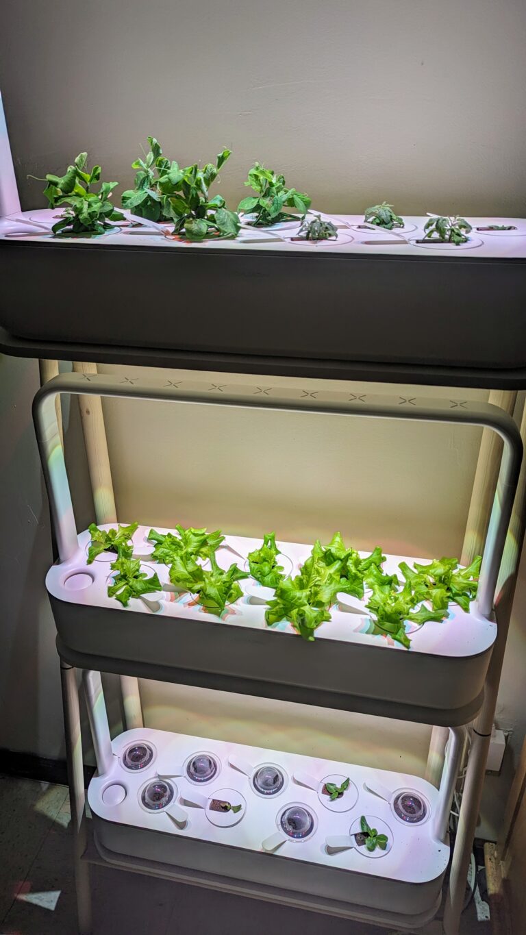 My Honest Review of Click and Grow Indoor Garden (2026) + Video