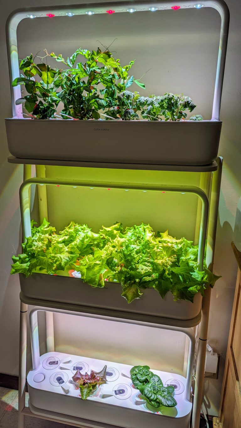 My Honest Review of Click and Grow Indoor Garden - Recipe by Blackberry ...