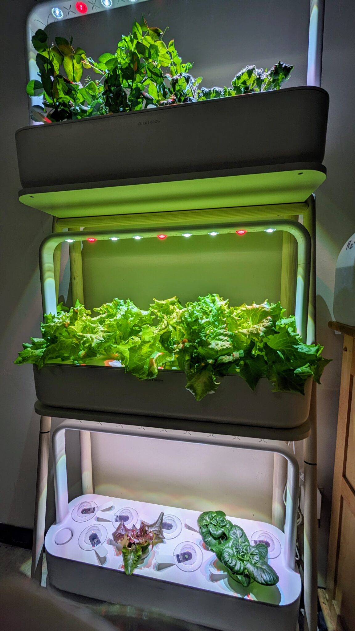 My Honest Review of Click and Grow Indoor Garden (2026) + Video