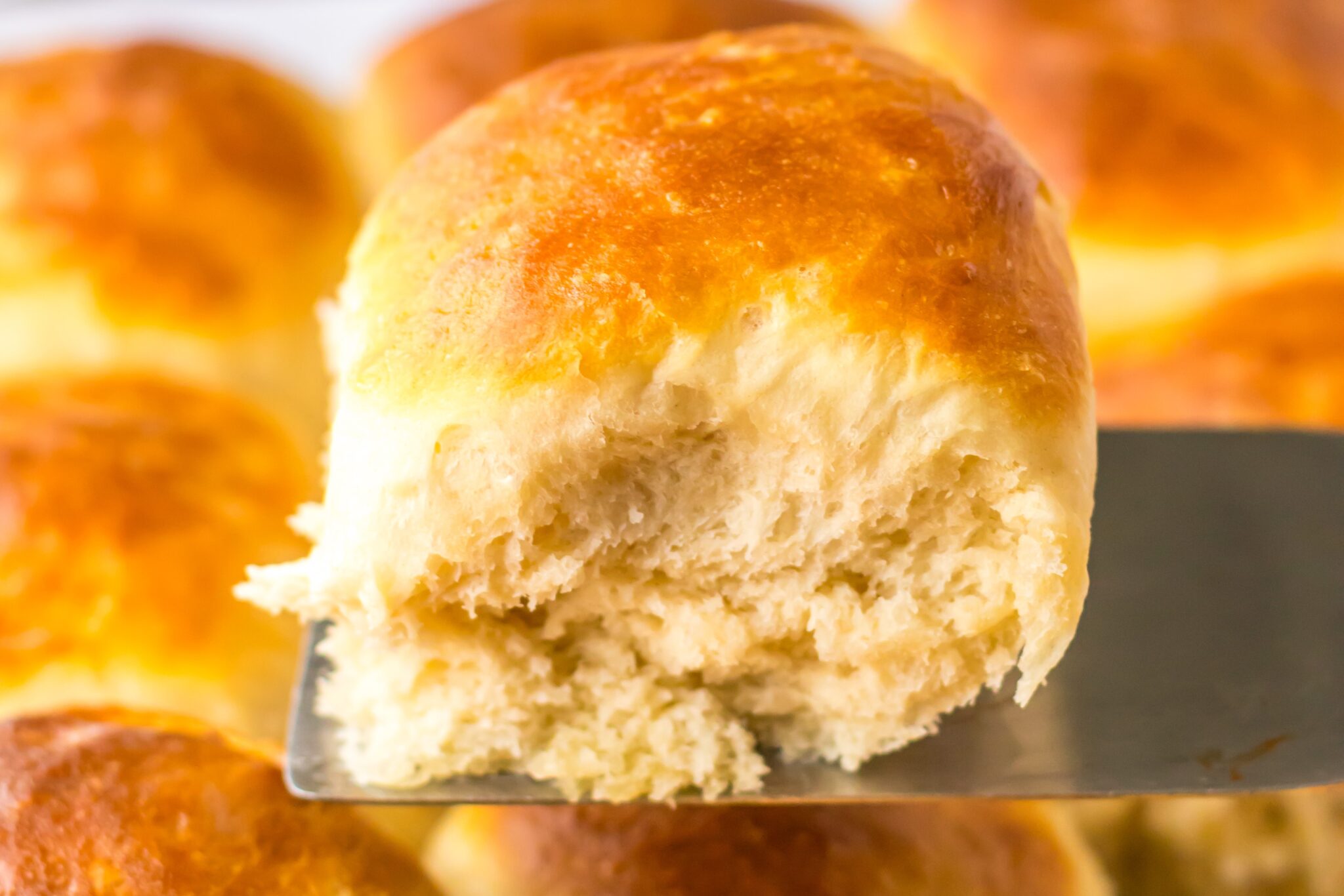 Easy Fluffy Yeast Rolls - Recipe by Blackberry Babe